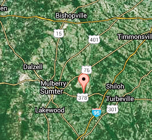 Lizard Man Emerges From South Carolina Swamp