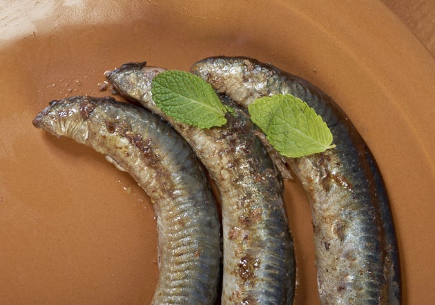 How To Eat Sea Lamprey, The Most Hideous Fish In The World | The ...